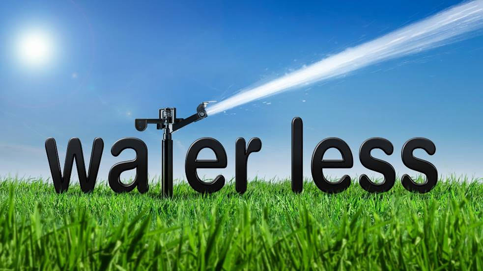 Guest column: Water Less to save water and help sustain our water ...