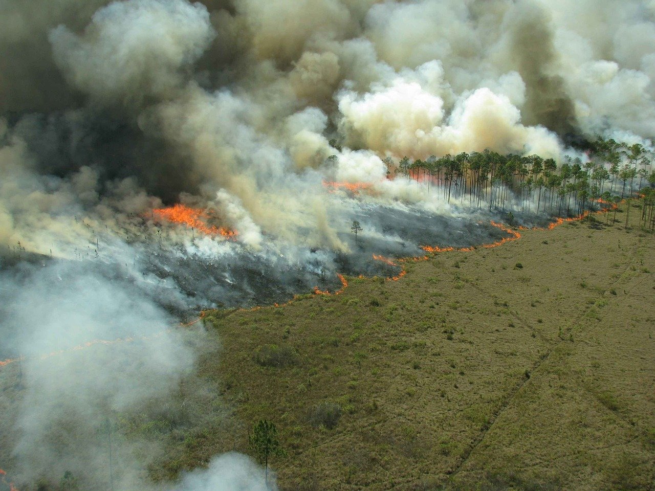 Prescribed Fire: One of Florida Park Services most crucial missions ...