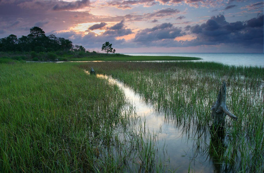 Proposed budgets defund Florida Forever, but do provide for ...
