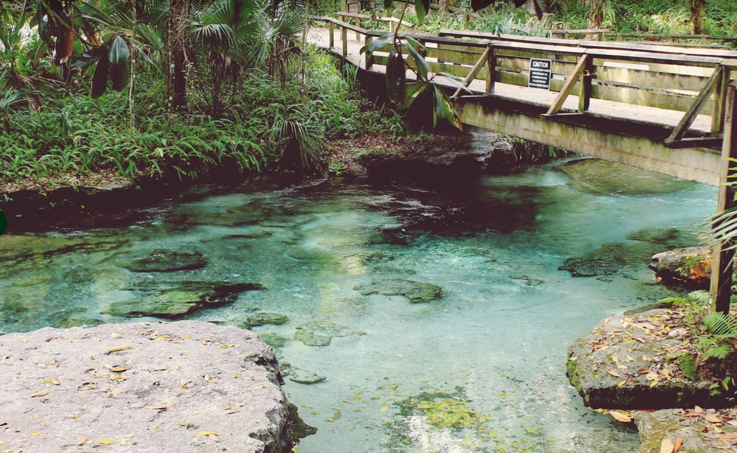 Orange County Program helps residents protect springs and save on ...