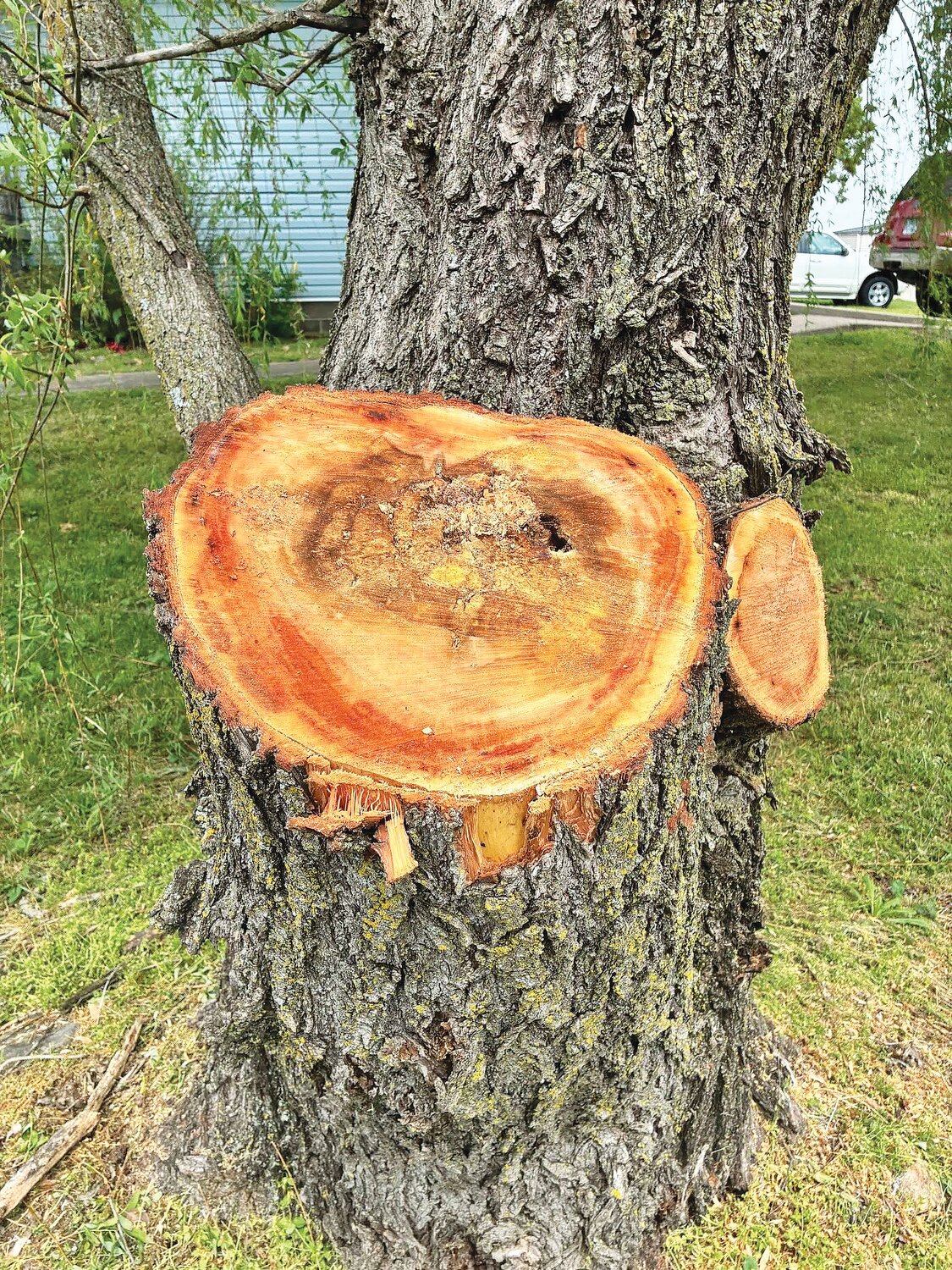Just because they could - Carroll County News
