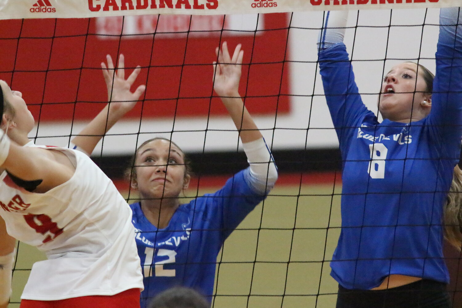 Eagles, Broncos volleyball on collision course | Clay Today