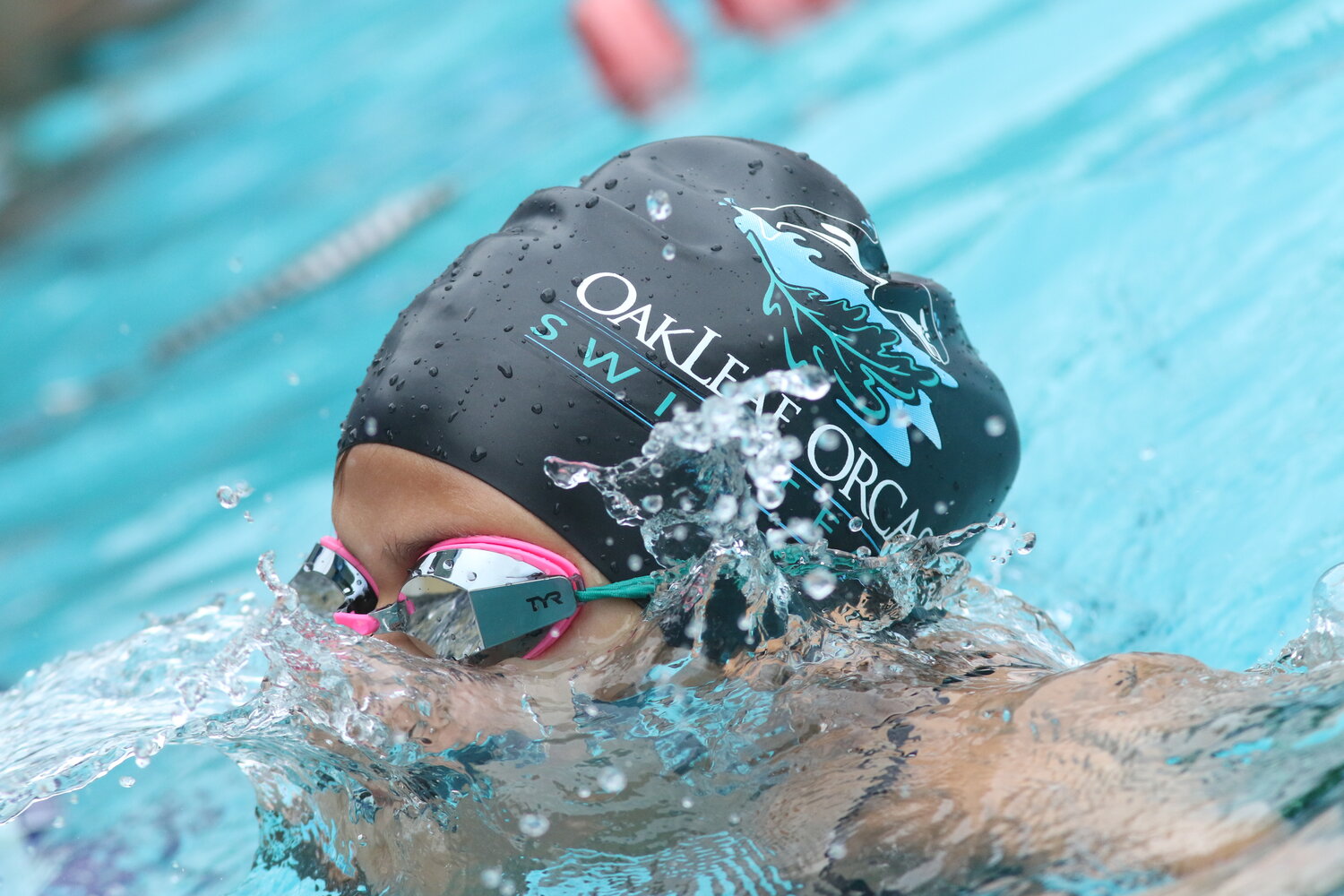 Swim Meet Pics | Clay Today