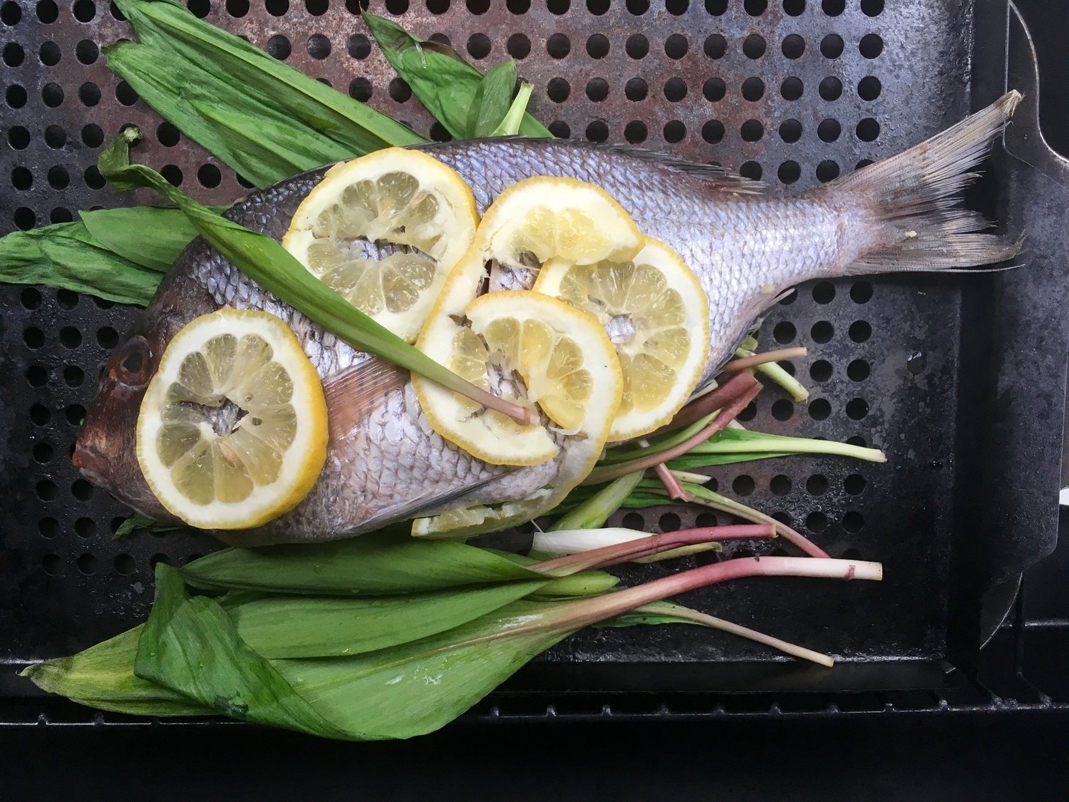 'Eat like a fish' this summer | EastBayRI.com - News, Opinion, Things ...