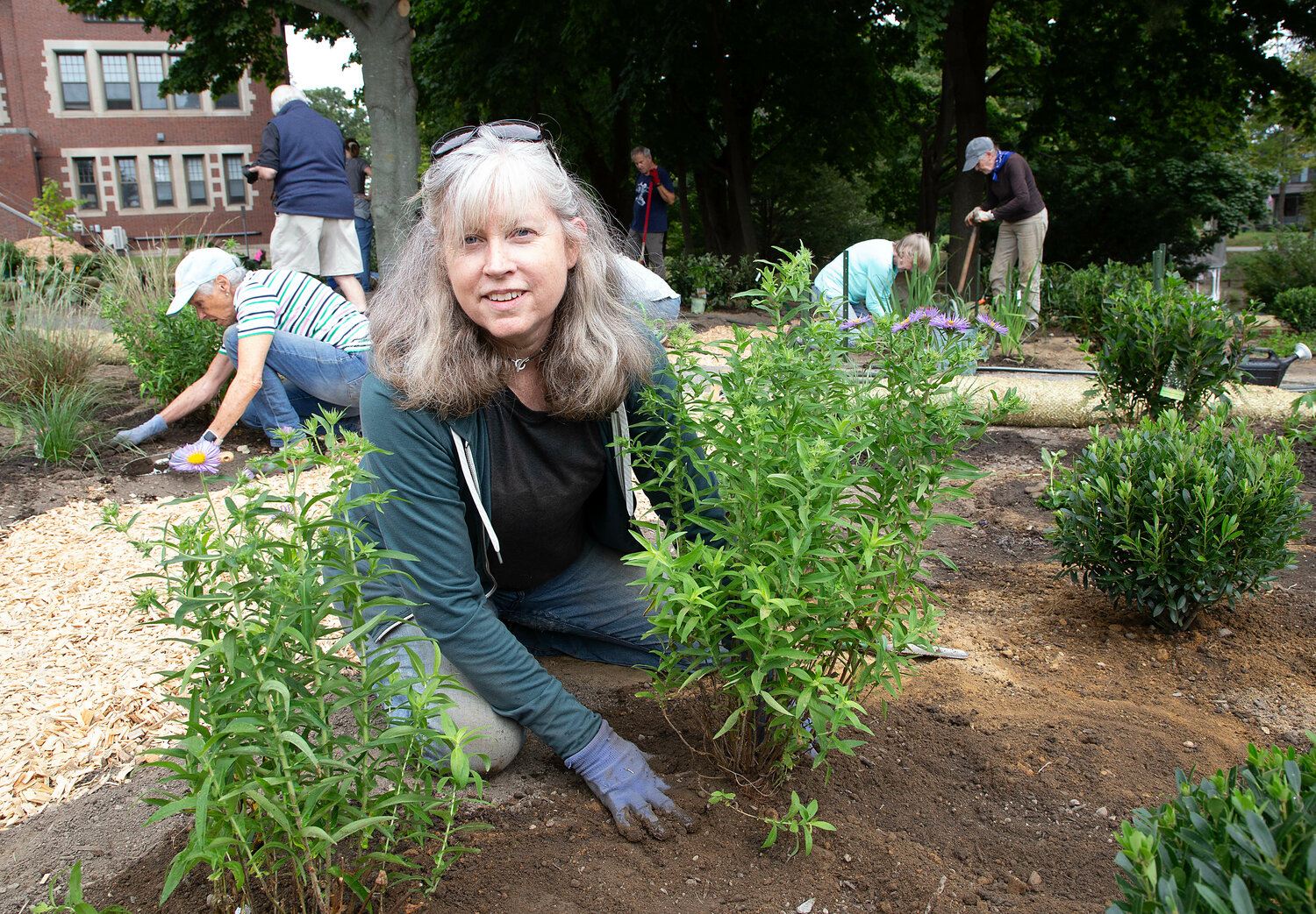 Resilience garden blooms near Barrington Town Hall | EastBayRI.com ...