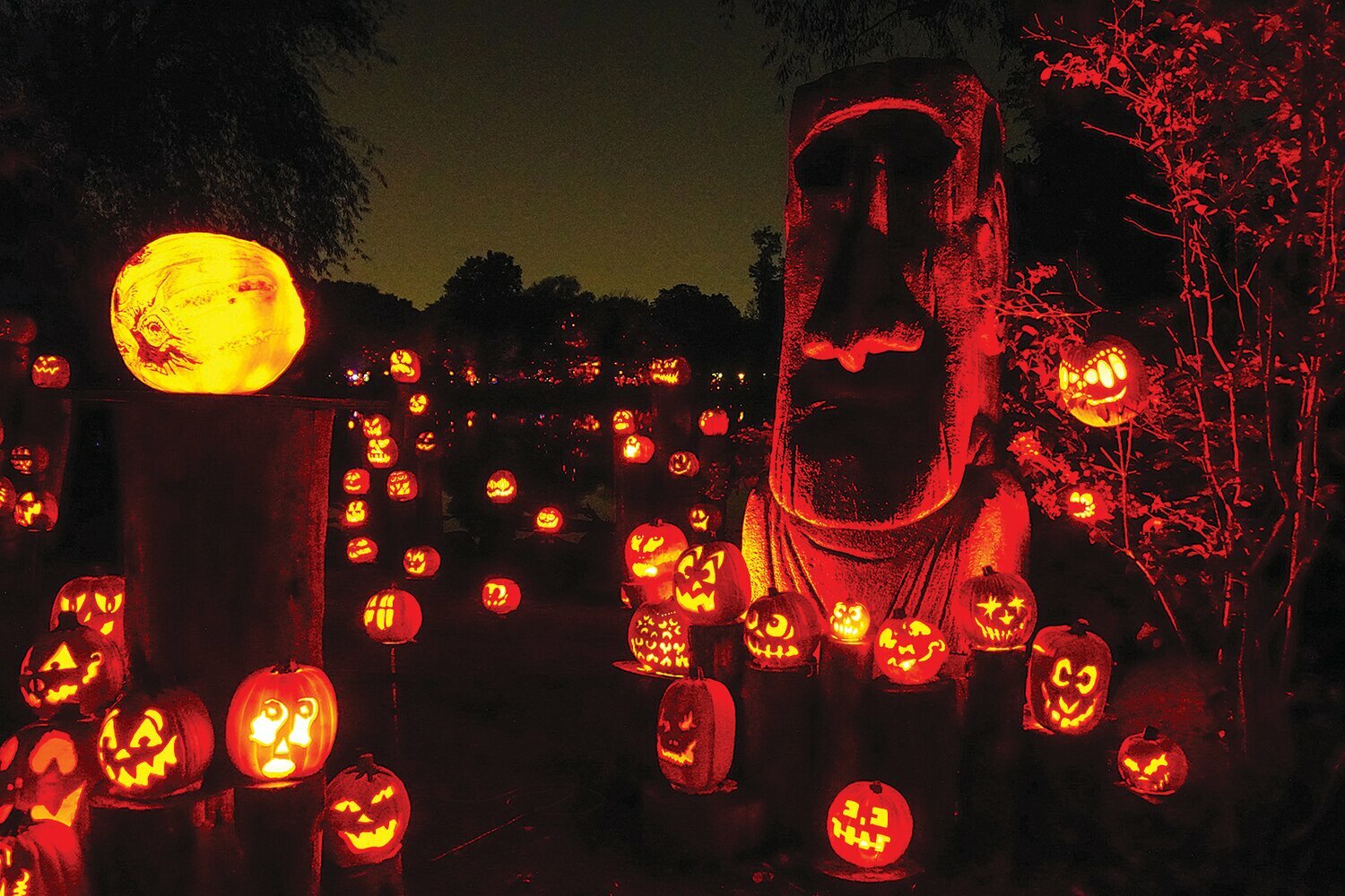 Time to test your pumpkin smarts | EastBayRI.com - News, Opinion ...