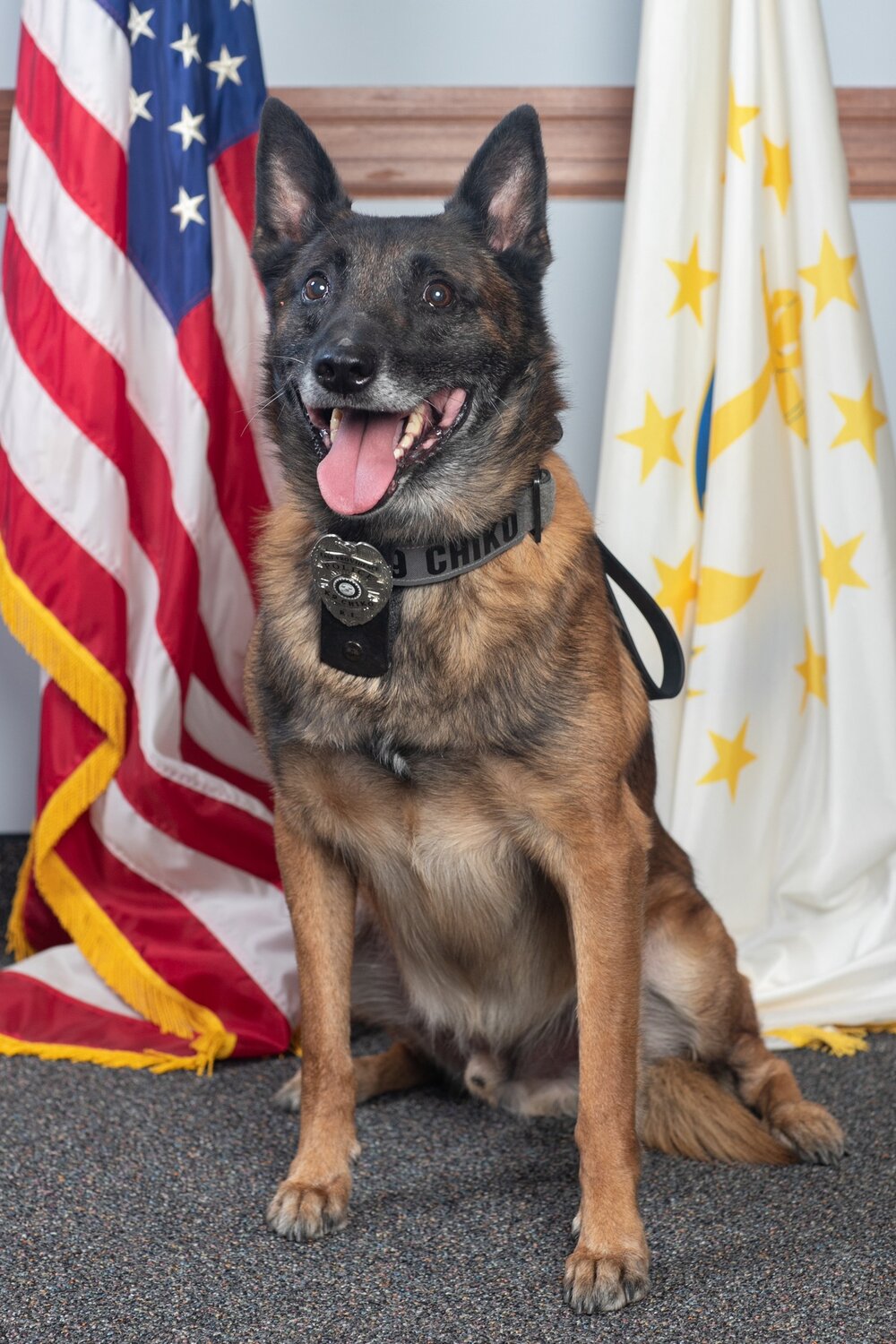 East Providence Police Department mourns loss of K9 Chiko | EastBayRI ...