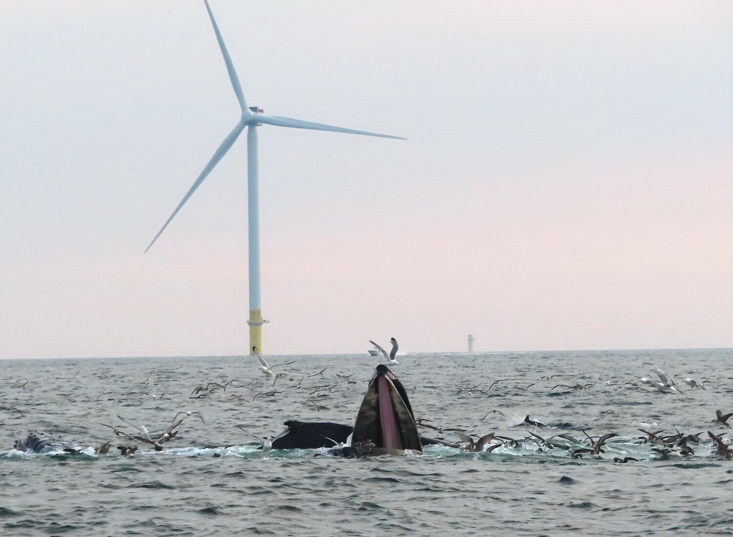 The top fishing stories of 2025 | EastBayRI.com - News, Opinion, Things ...