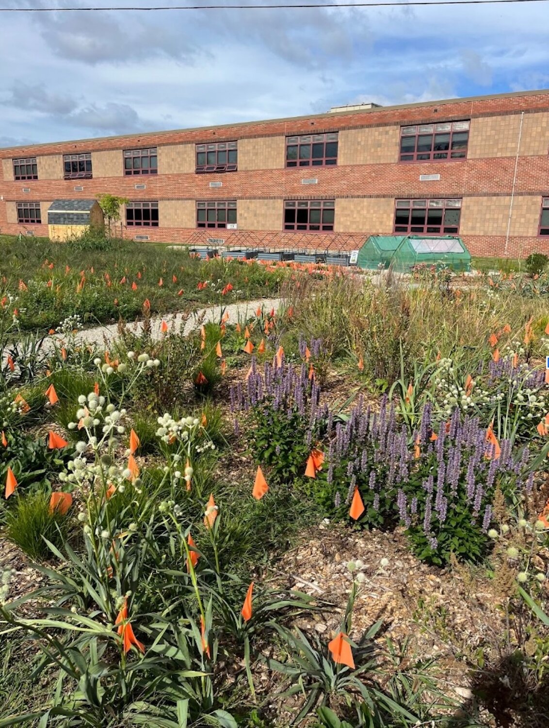 Brito's donation boosts Outdoor Learning Zone at KMS | EastBayRI.com ...