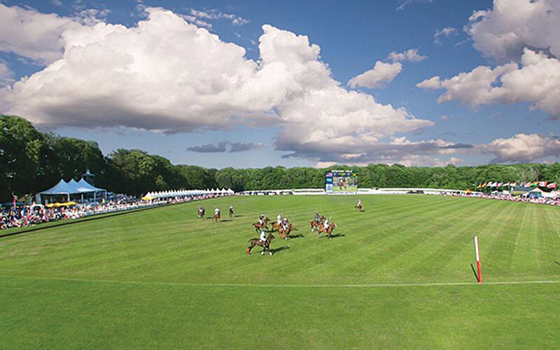 Polo Series returns for 2026 | EastBayRI.com - News, Opinion, Things to ...