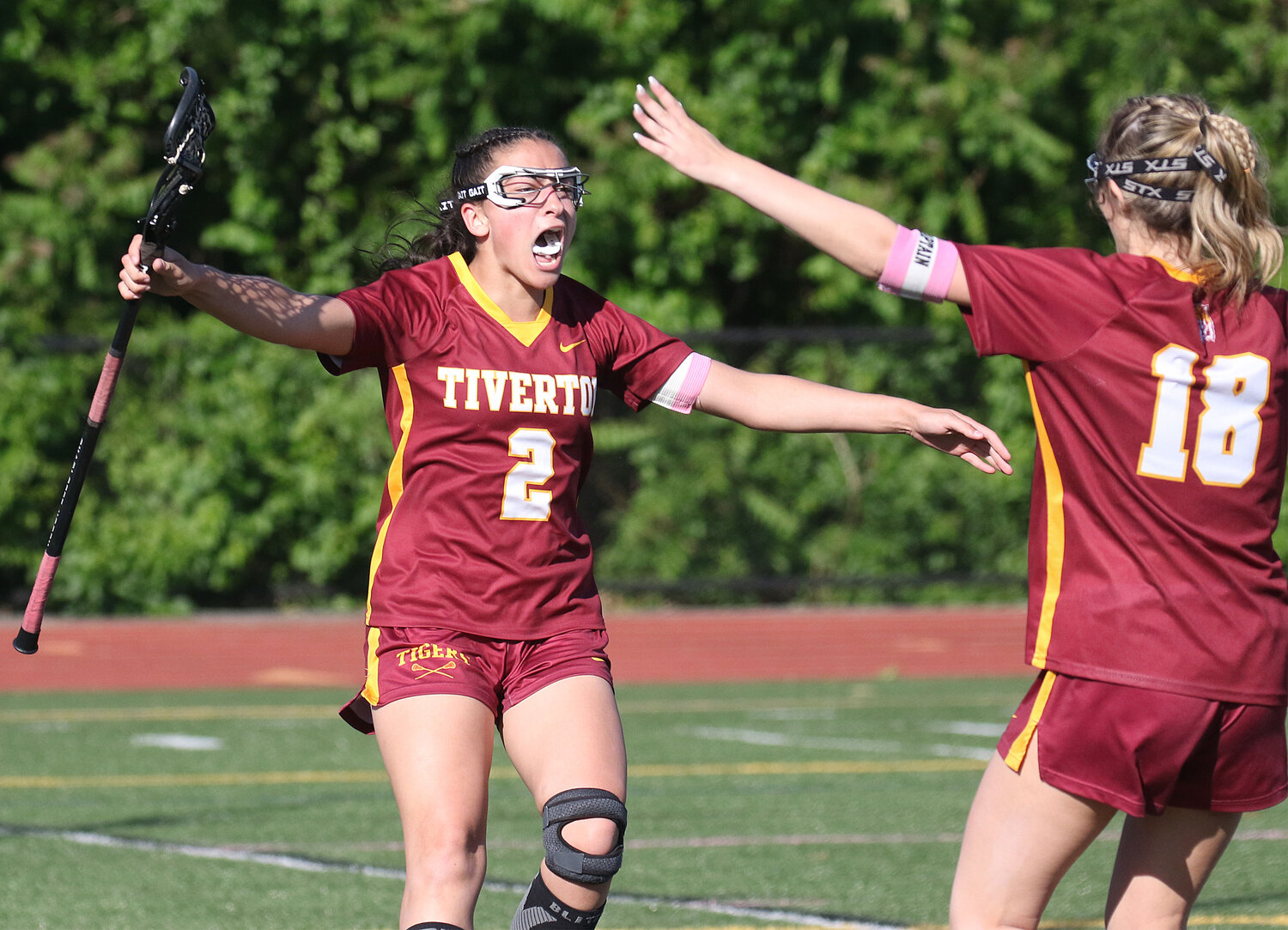 Teary Tigers fall in semis to Lions 9-4 | EastBayRI.com - News, Opinion ...