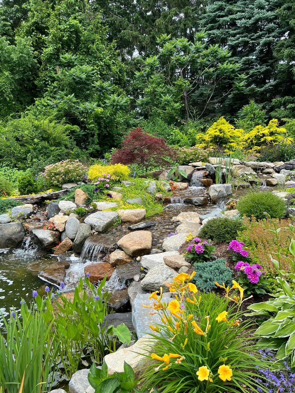 Blooms by the Bay Garden Tour in Barrington is drawing near | EastBayRI ...