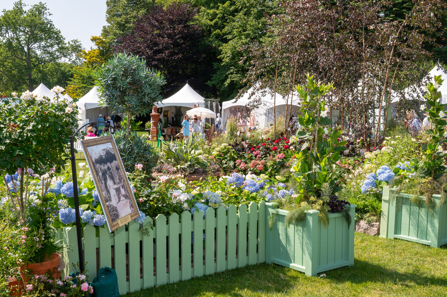 30th annual Newport Flower Show is this weekend | EastBayRI.com - News ...