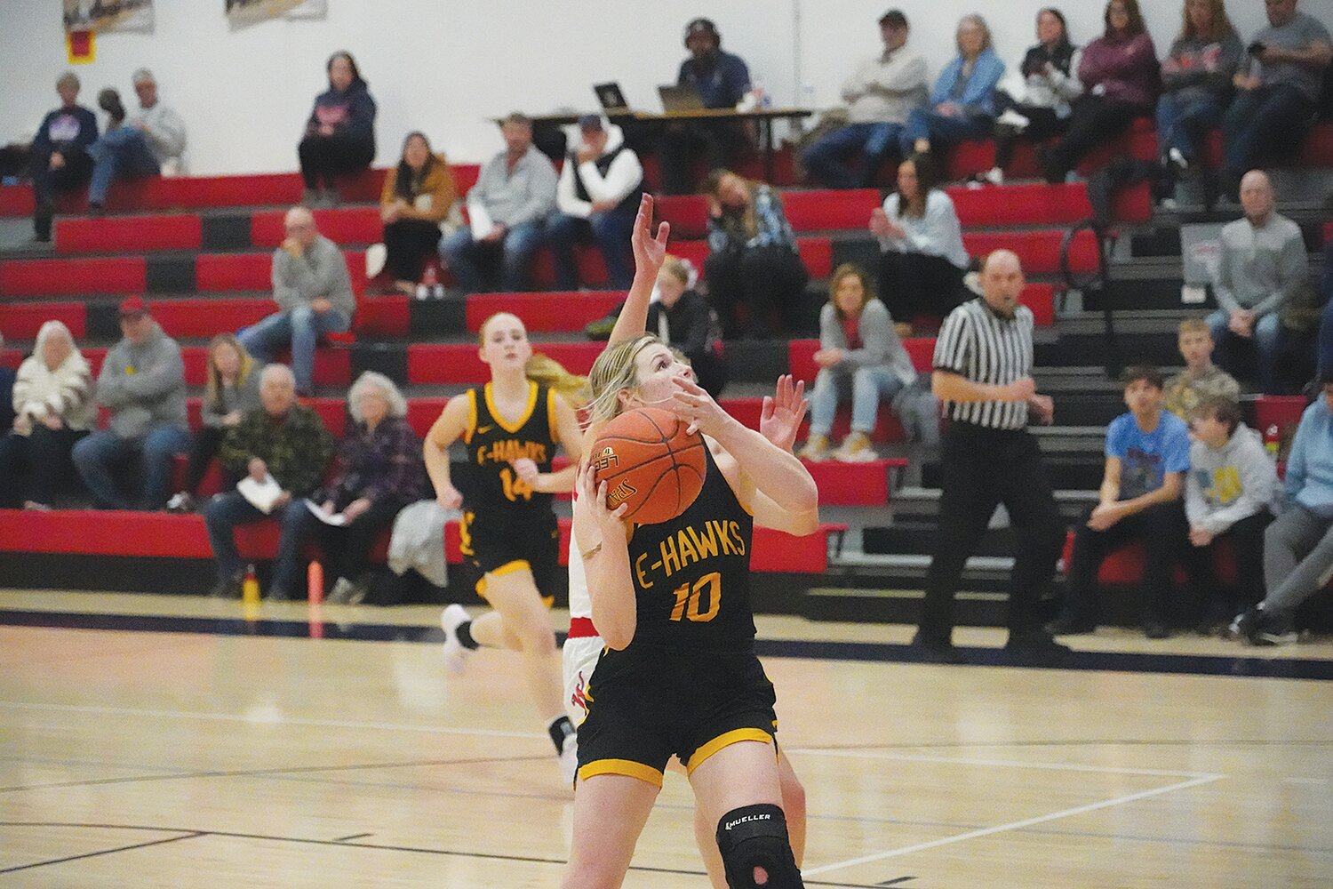 E-Hawk Girls Match '24 Win Total with Two Wins Last Week - Emmetsburg ...