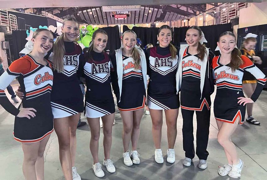 County cheer teams earn top-half finishes at state | Washington County ...
