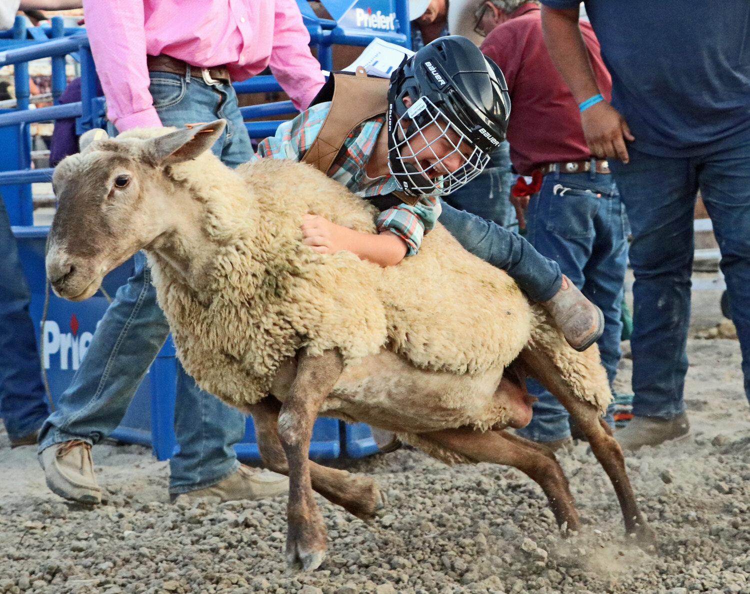 PHOTO GALLERY: 2024 Washington County Fair | Washington County Enterprise