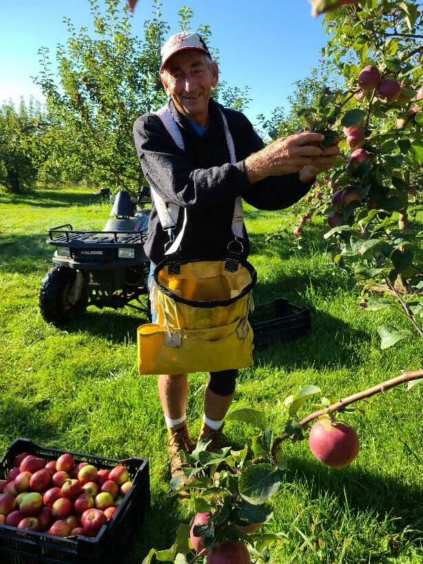 How Do You Like Them Apples? - Hillsboro Sentry Enterprise
