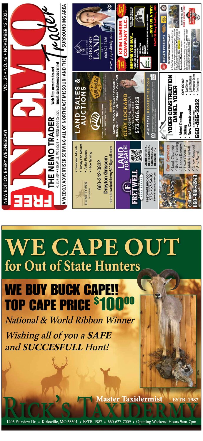 Wednesday, November 12, 2025 | NEMO Trader