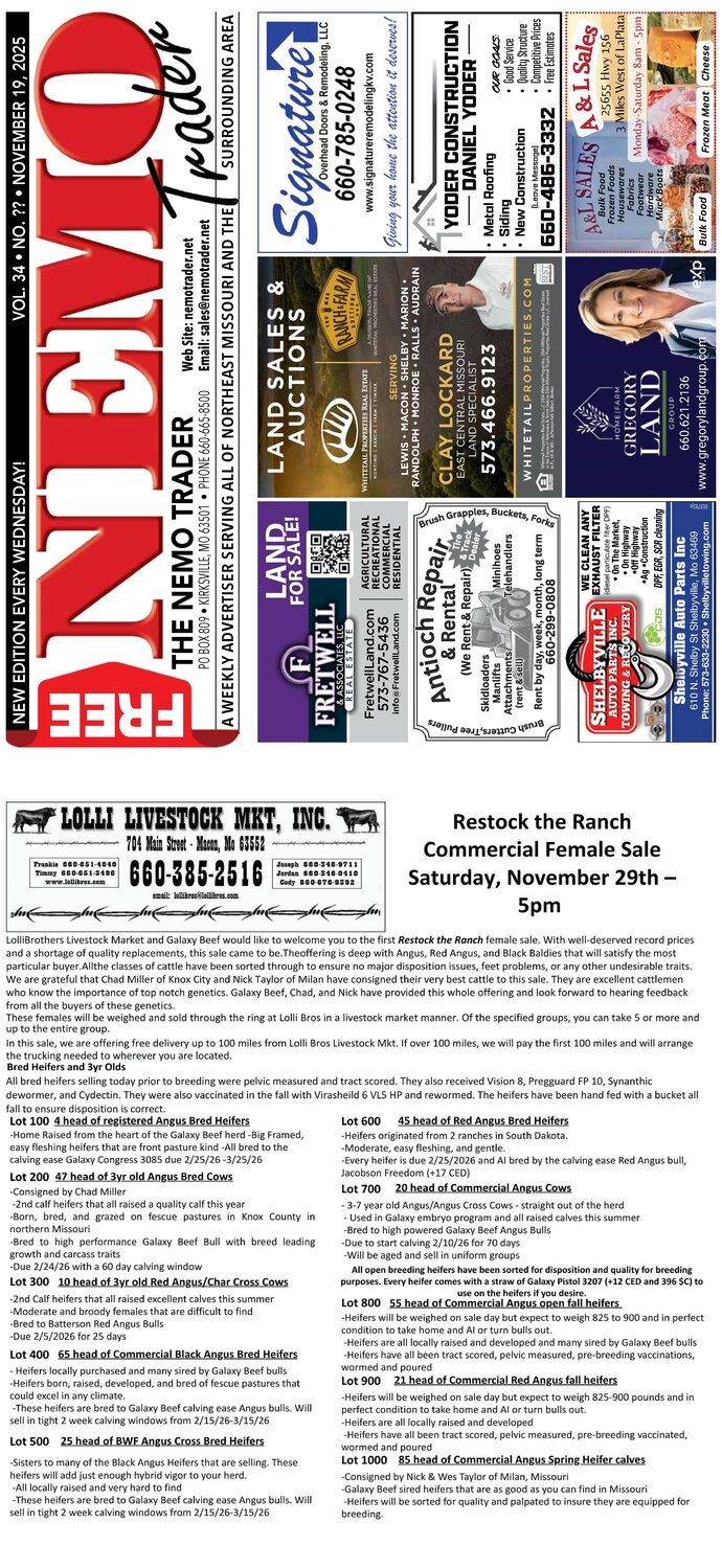 Wednesday, November 19, 2025 | NEMO Trader