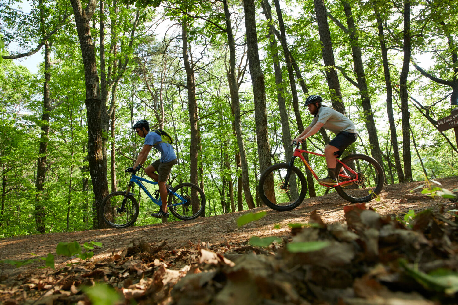 S.C. parks department asks for $186M in ‘generational’ upgrades to keep ...