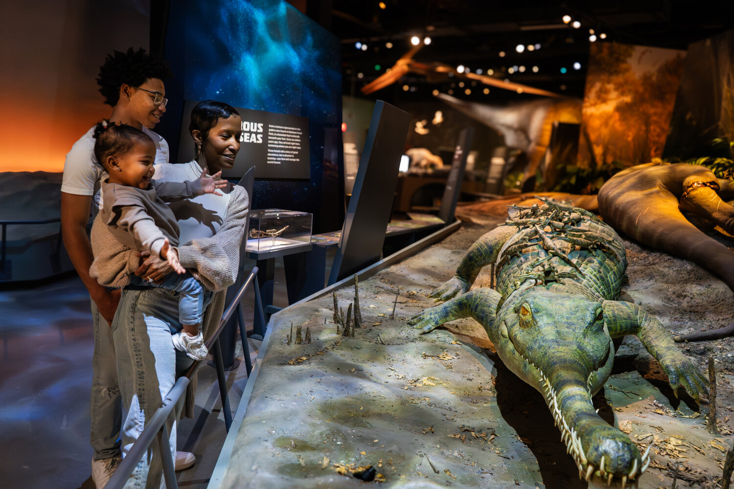 Bring the whole family to the new Edelman Fossil Park & Museum - Metro ...