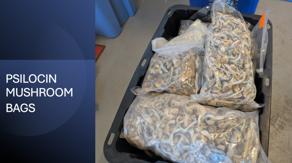 Powerful guns, drugs recovered in Far Northeast bust, authorities say ...