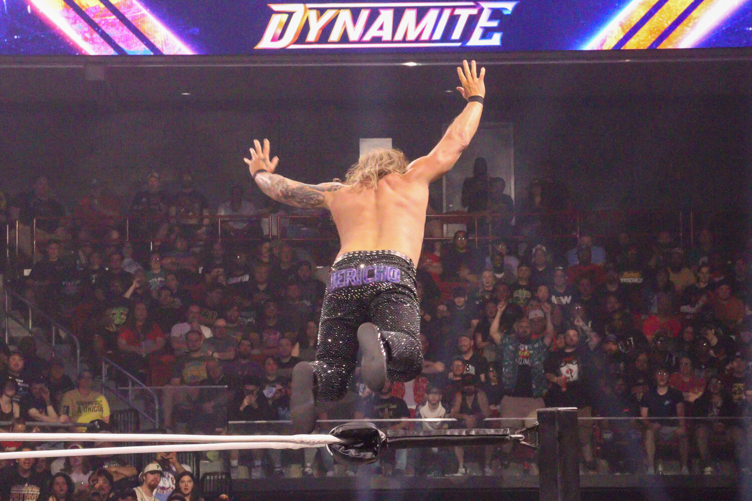 All Elite Wrestling Delivered Pro Wrestling Biggest Stars Back to ...