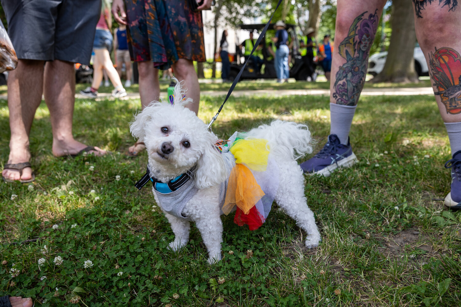 PHOTOS: Philadelphia kicks off Pride Month with annual Pride March and ...
