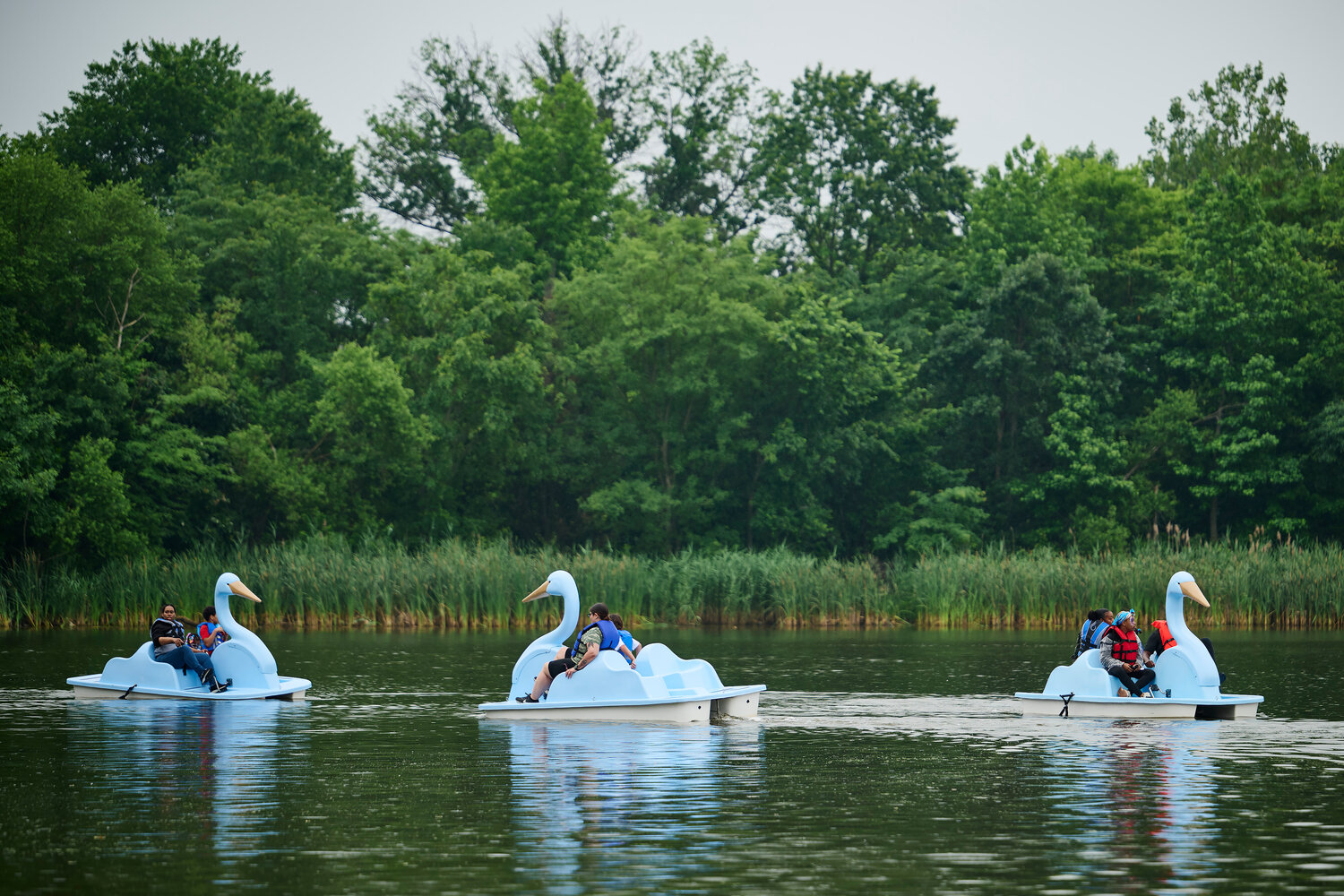 Free outdoor movies are coming to Philadelphia parks this summer and ...