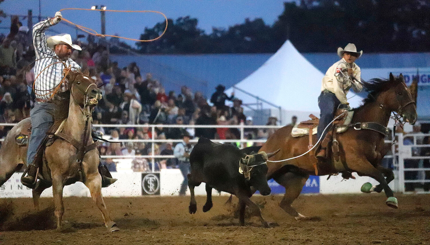 Chute Out doesn't disappoint - Pen City Current