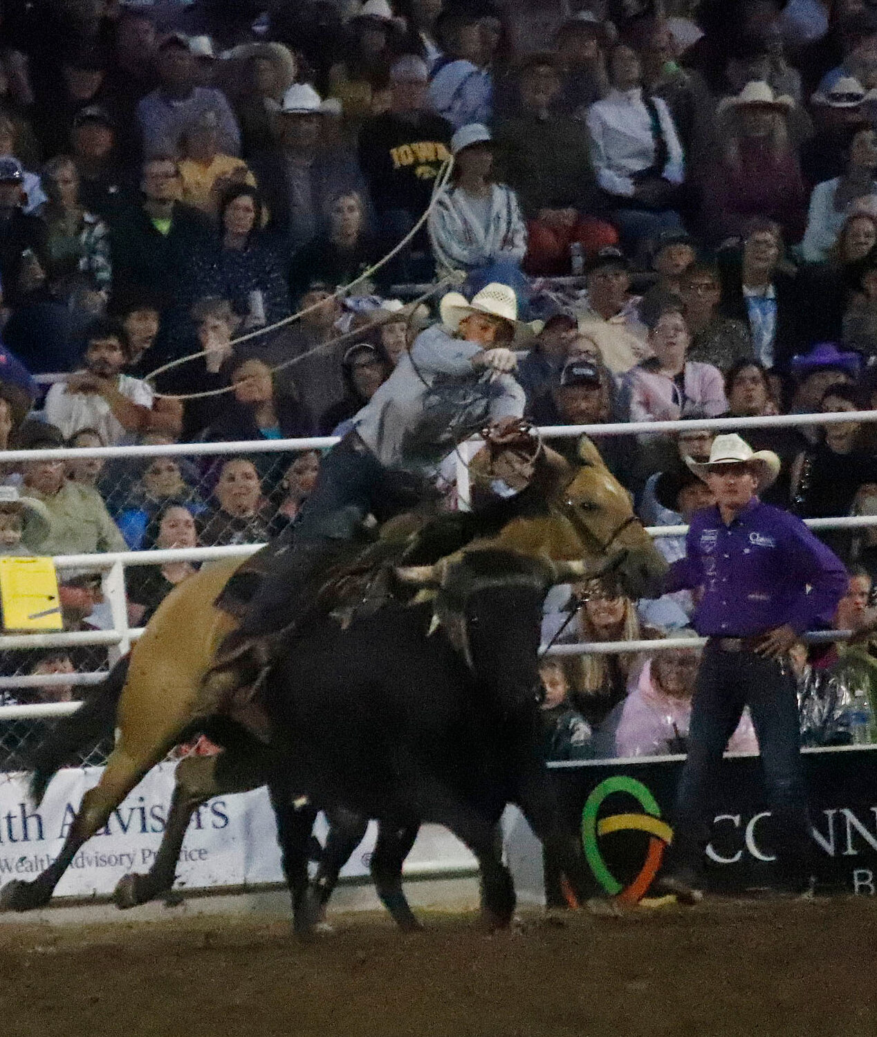 Chute Out doesn't disappoint - Pen City Current