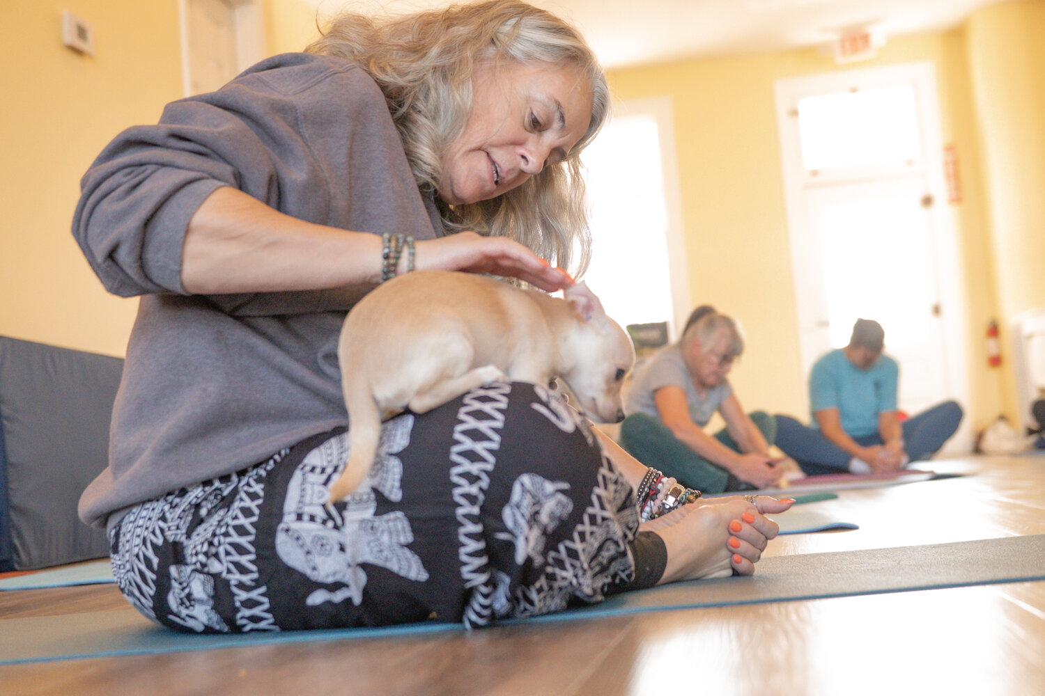 Puppy Yoga Event Brings Community Together, Supports Local Rescue ...