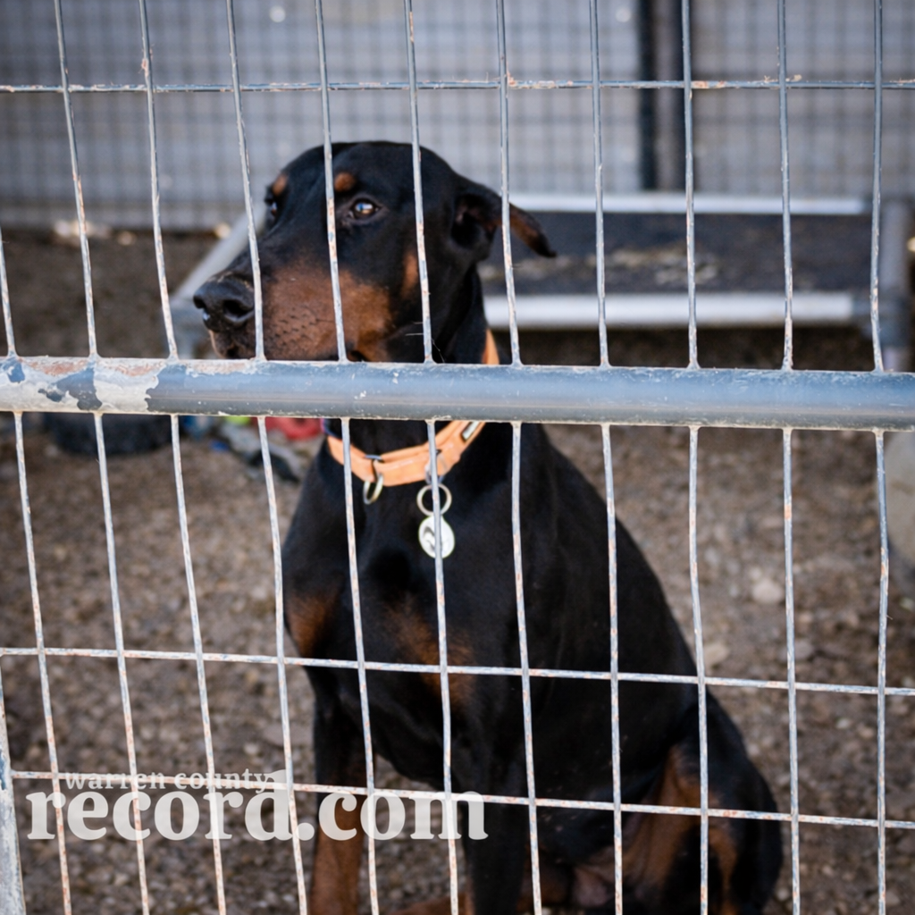 PHOTO GALLERY: No Time to Spare Animal Rescue and Sanctuary - Warren ...